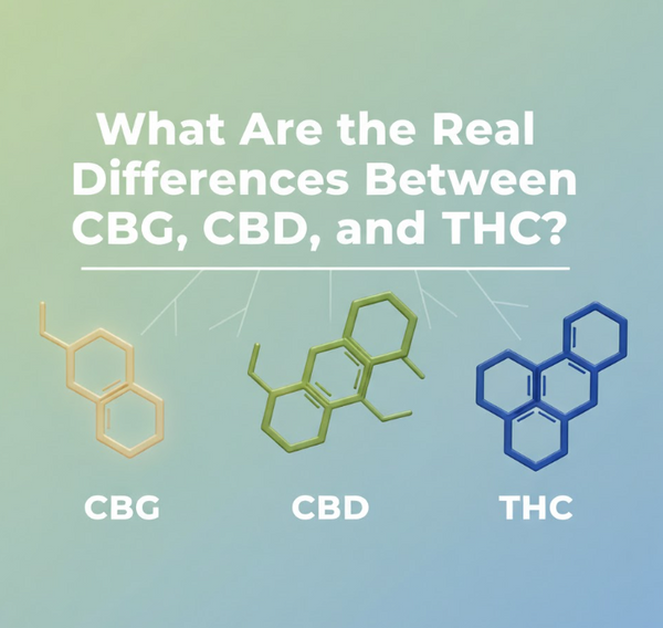 CBG vs CBD vs THC: Understanding the Key Differences