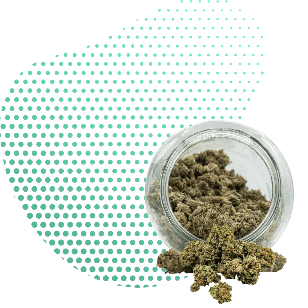 THC-H Based Flowers and Gummies