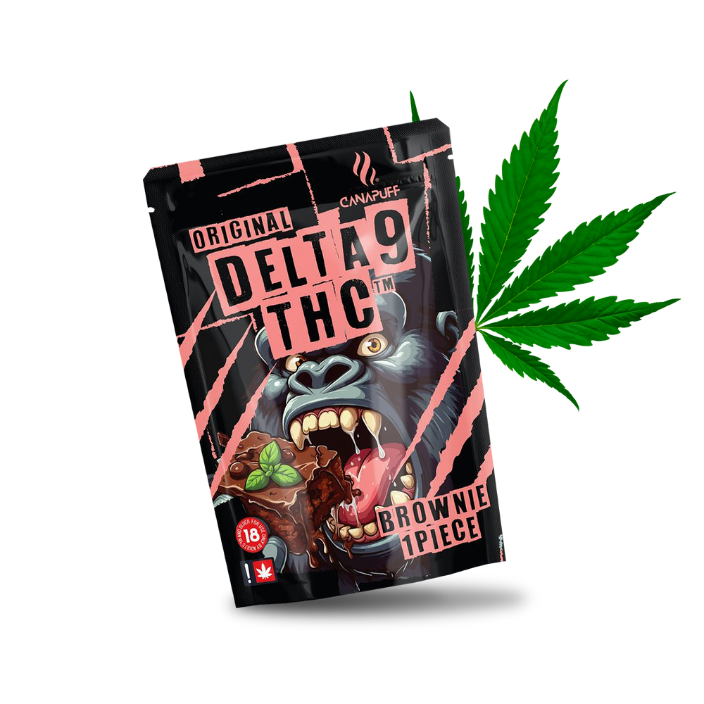 What is HXC? Everything You Need to Know