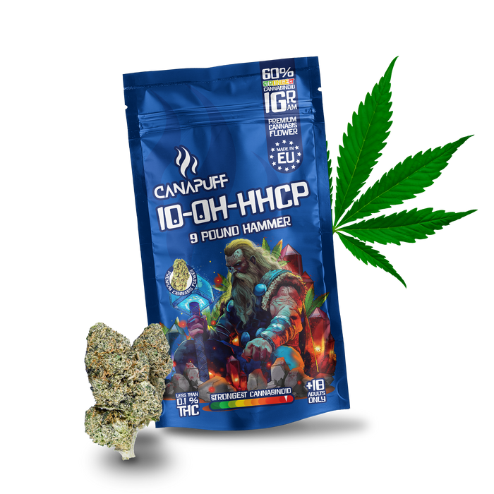 Complete List of Runtz Strains | Guide to Popular Runtz Varieties