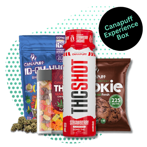 THC-JD: Effects, Benefits, and Legal Landscape