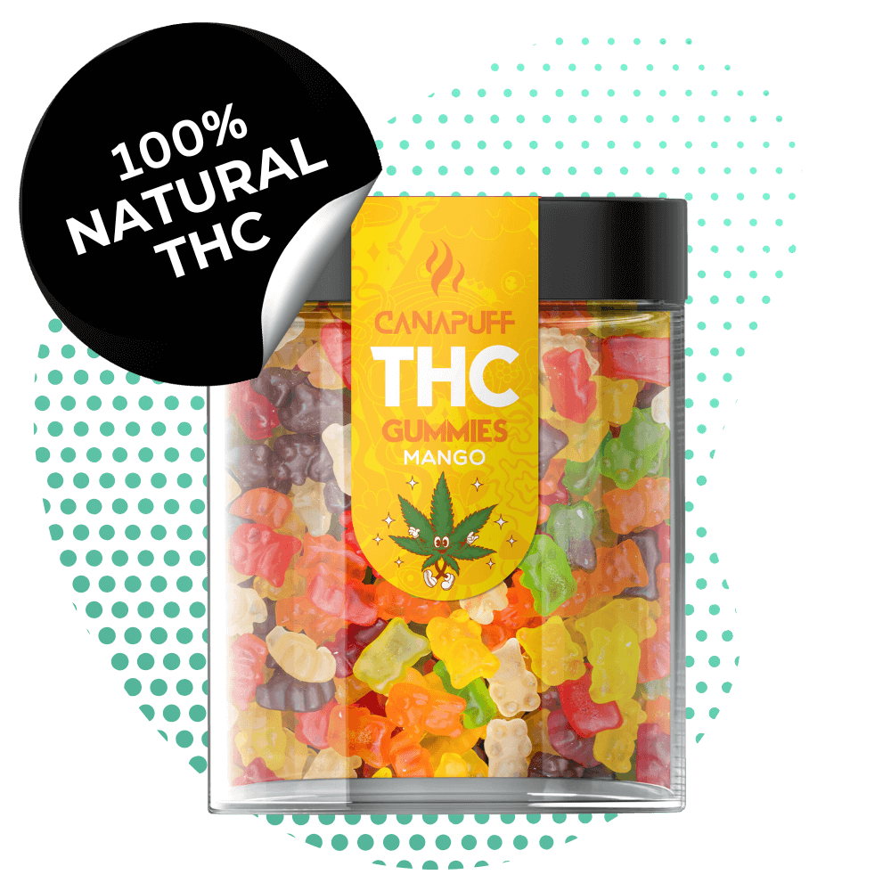Highest THC % Percentage Ever: The Strongest Strains Explained Highest THC % Percentage Ever: The Strongest Strains Explained