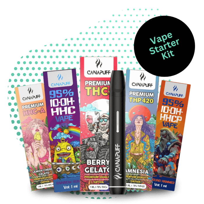 What is Vaping: How It Works & Differences from Smoking