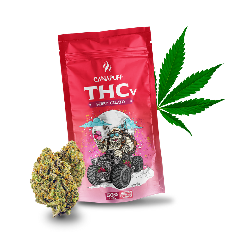 Cannabis THC Shop: Vapes, Blommor & Gummies | Canapuff