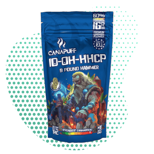 Sunset Sherbet Strain: Effects, Benefits and Cultivation Guide