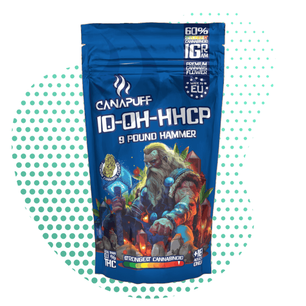 Complete List of Runtz Strains | Guide to Popular Runtz Varieties