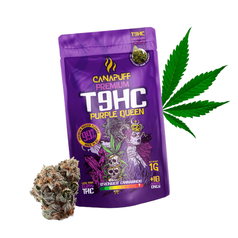 How to Make Hash from Kief Step by Step: Try at Home